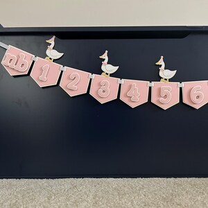 One Silly Goose First Birthday Photo Banner- One Lucky Duck - Silly ...