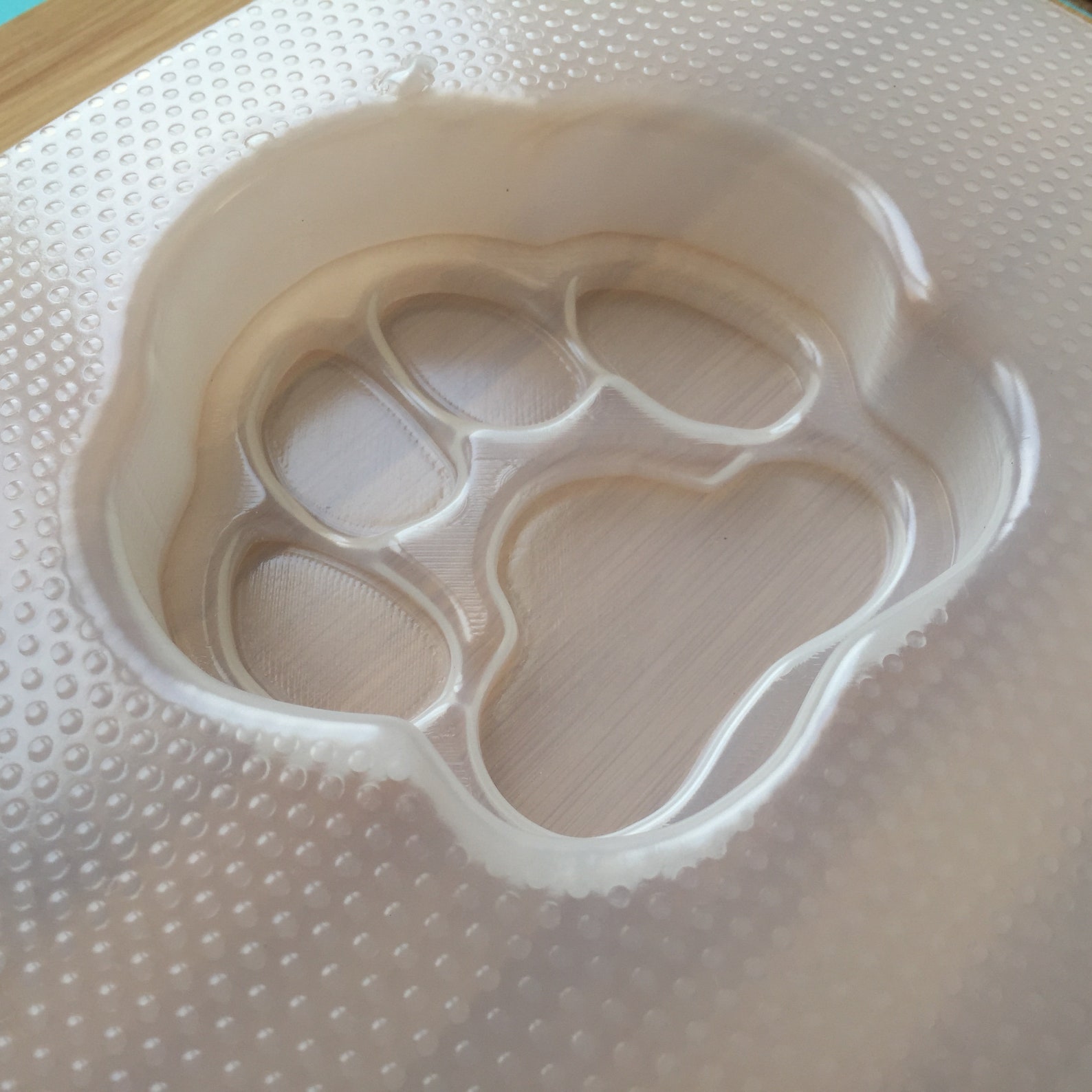 4.8 Oz Paw Print Plastic Mold Resin Mold Molds for Resin | Etsy