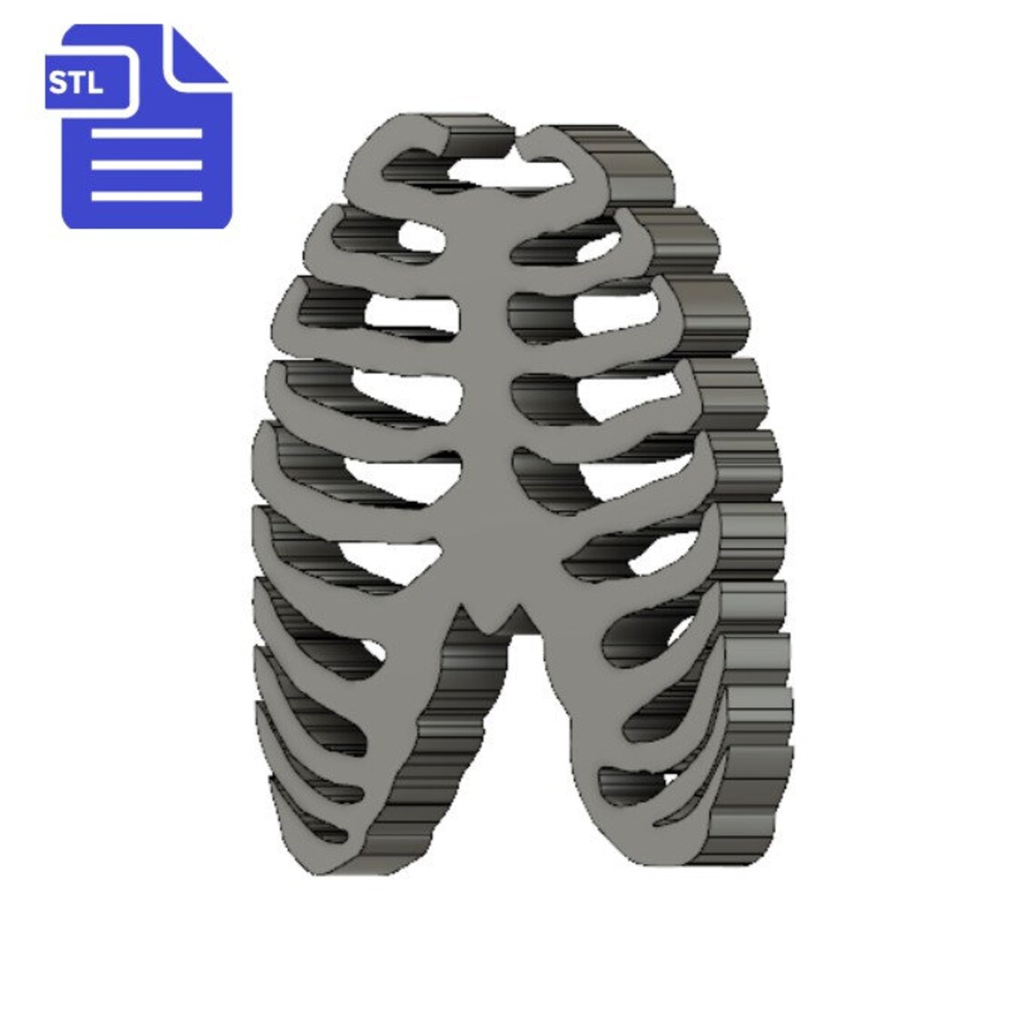 STL File Ribcage for 3D Printing FILE ONLY Skeleton Rib | Etsy