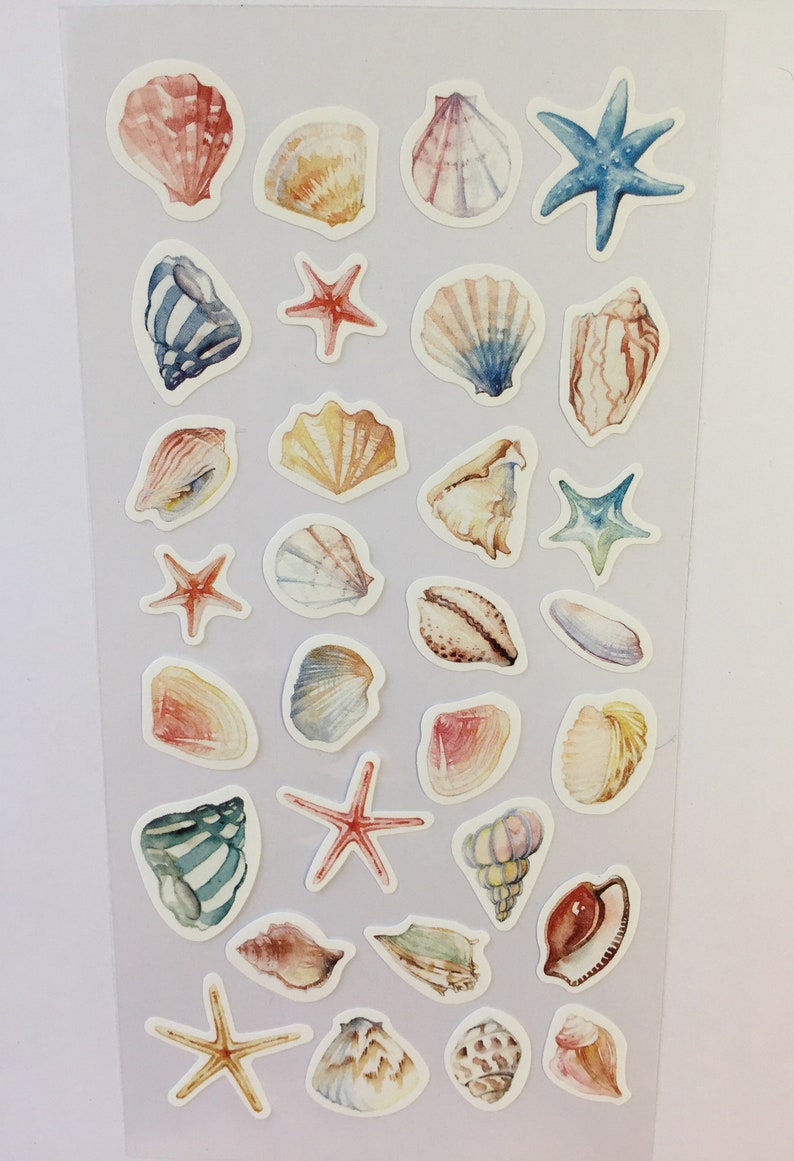 Shells Sticker Sheet 1 Sheet Seashell Seashells Conch | Etsy