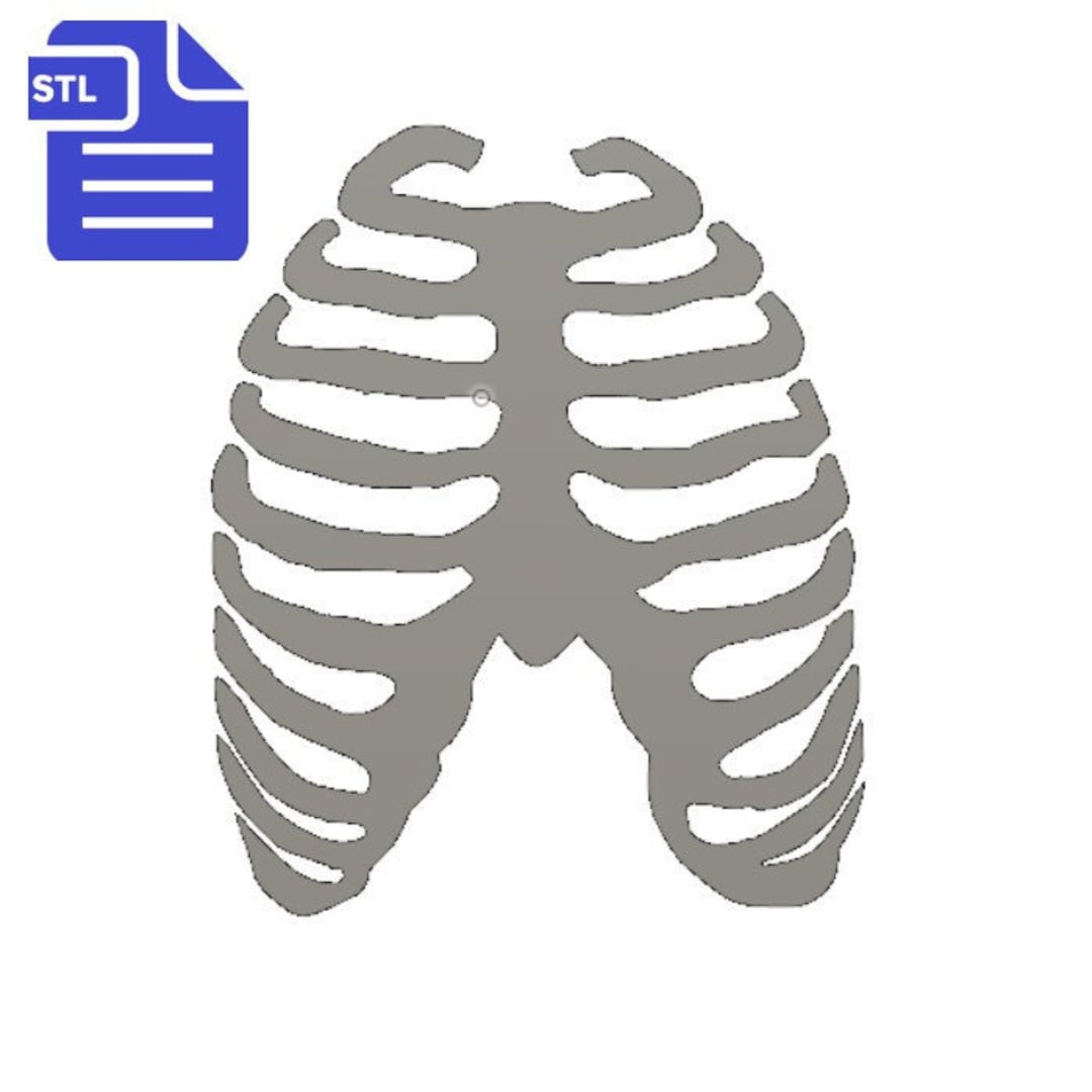 STL File Ribcage for 3D Printing FILE ONLY Skeleton Rib Cage Halloween ...