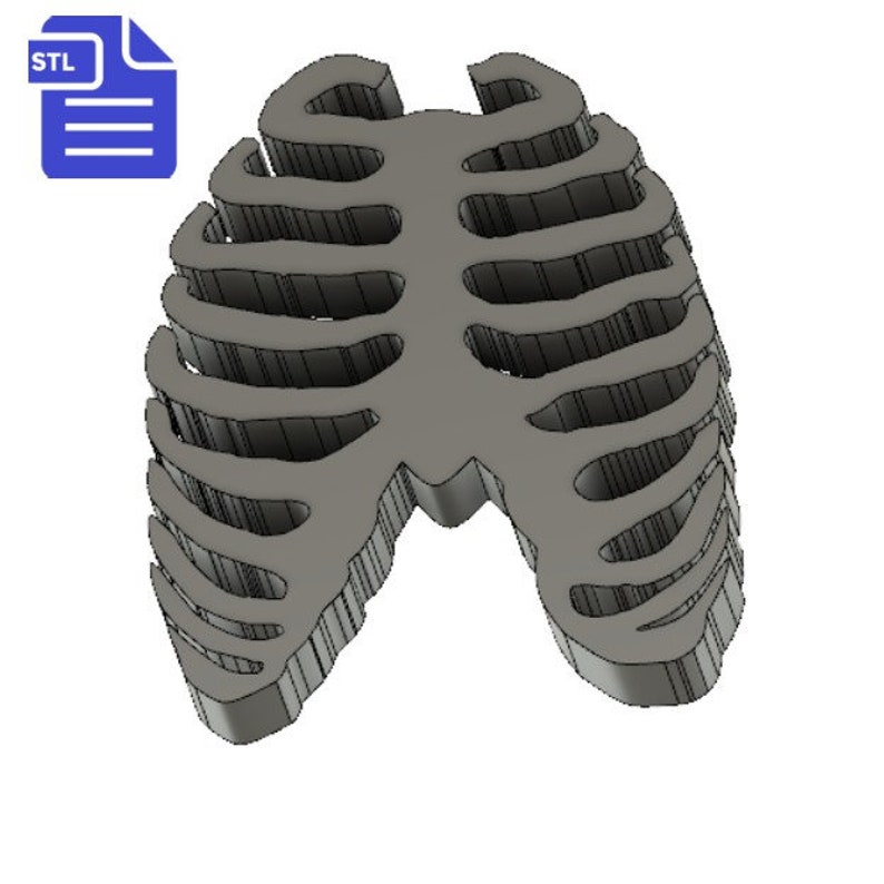 STL File Ribcage for 3D Printing FILE ONLY Skeleton Rib | Etsy