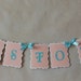 Miss to Mrs Banner Wedding Sign Blue and Pink Photo - Etsy
