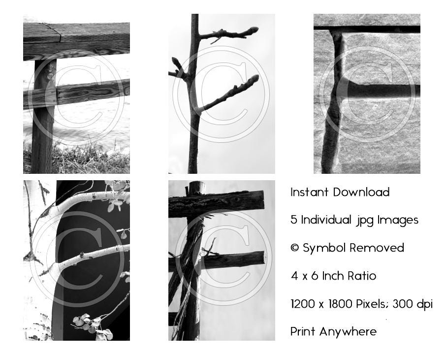 Letter F Alphabet Photography Instant Download of 5 Different Jpeg ...