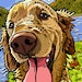 Quick Dog Portrait / Fast Realization 48 Hours / POP ART Style / Roy ...