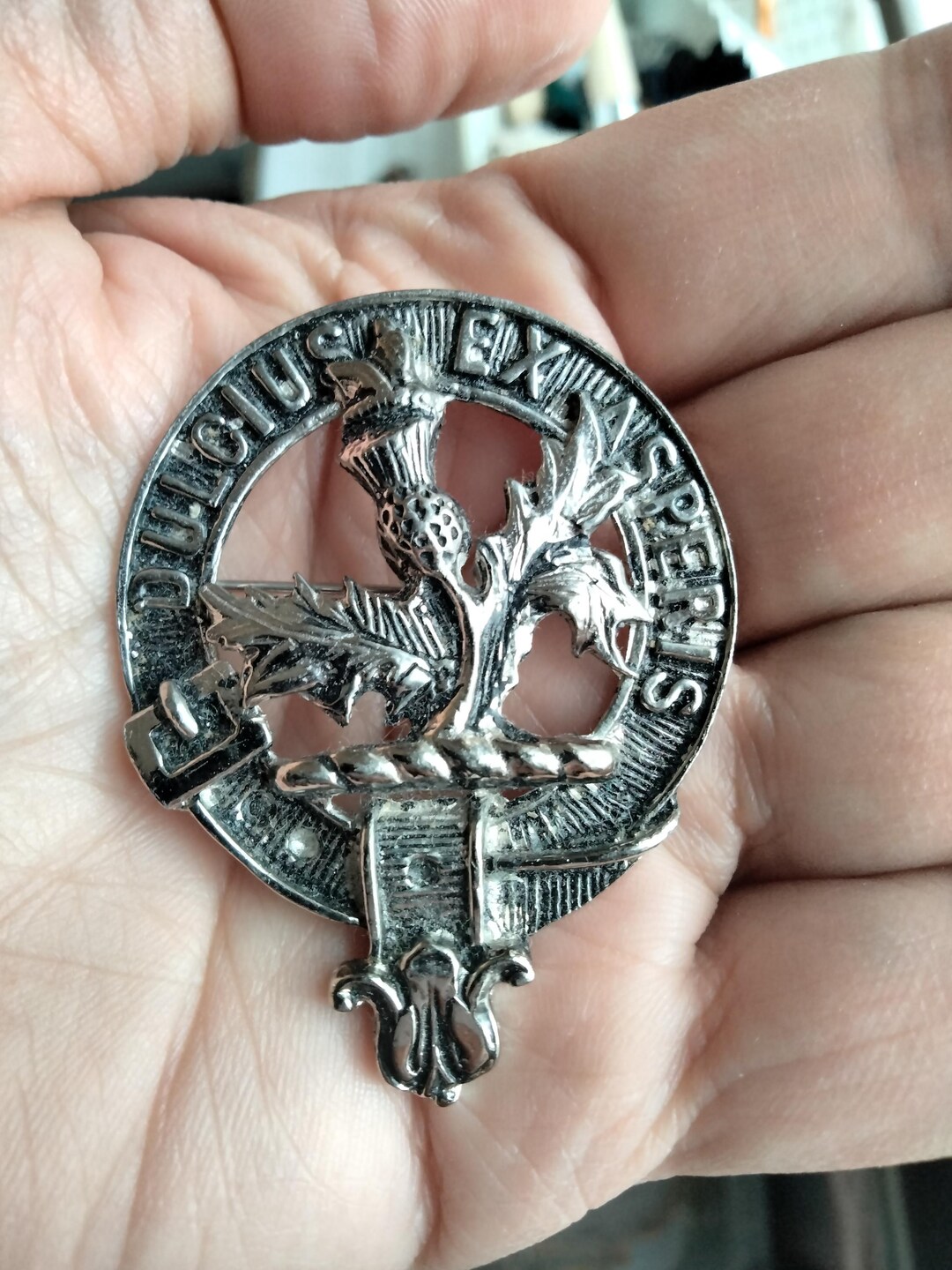 Vintage Ferguson Clan Crest Badge Pin - Etsy