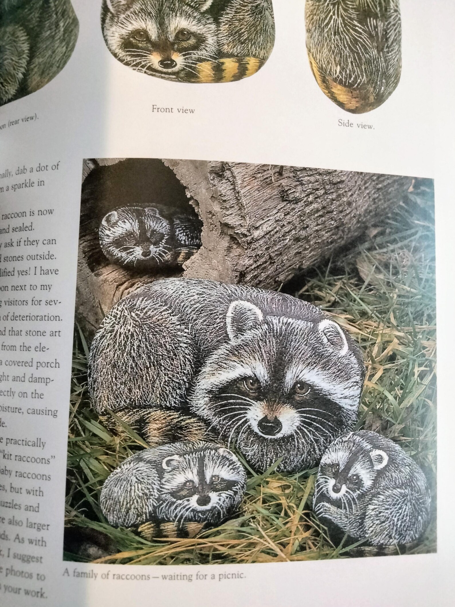 The Art of Painting Animals on Rocks Guide Book,lin Wellford - Etsy