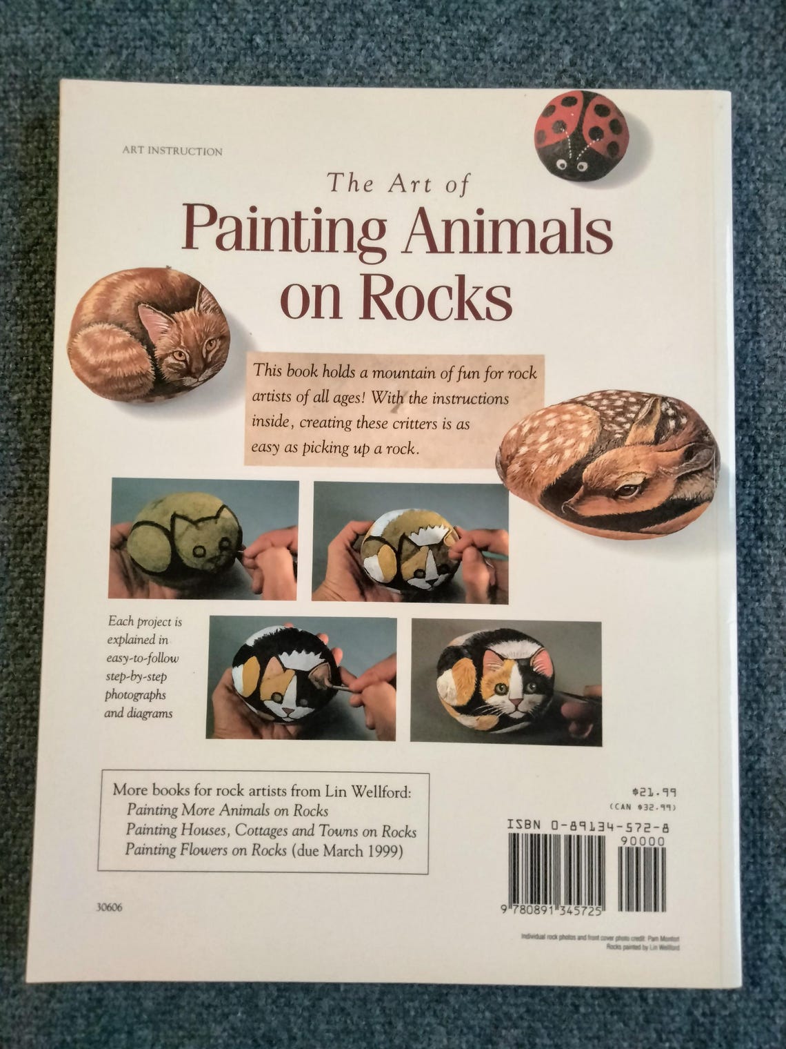 The Art of Painting Animals on Rocks Guide Book,lin Wellford - Etsy