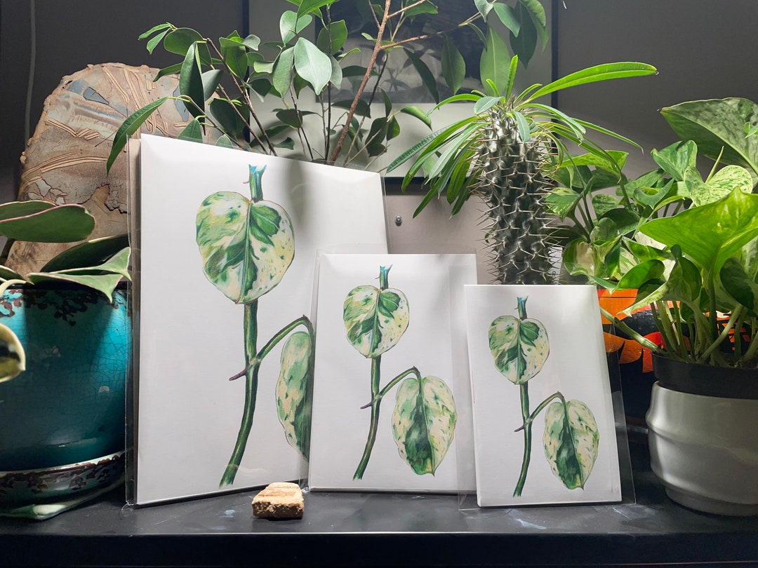 Pothos Njoy Wall Art Plant Print Plant Leaf Boho Home Decor Plant ...