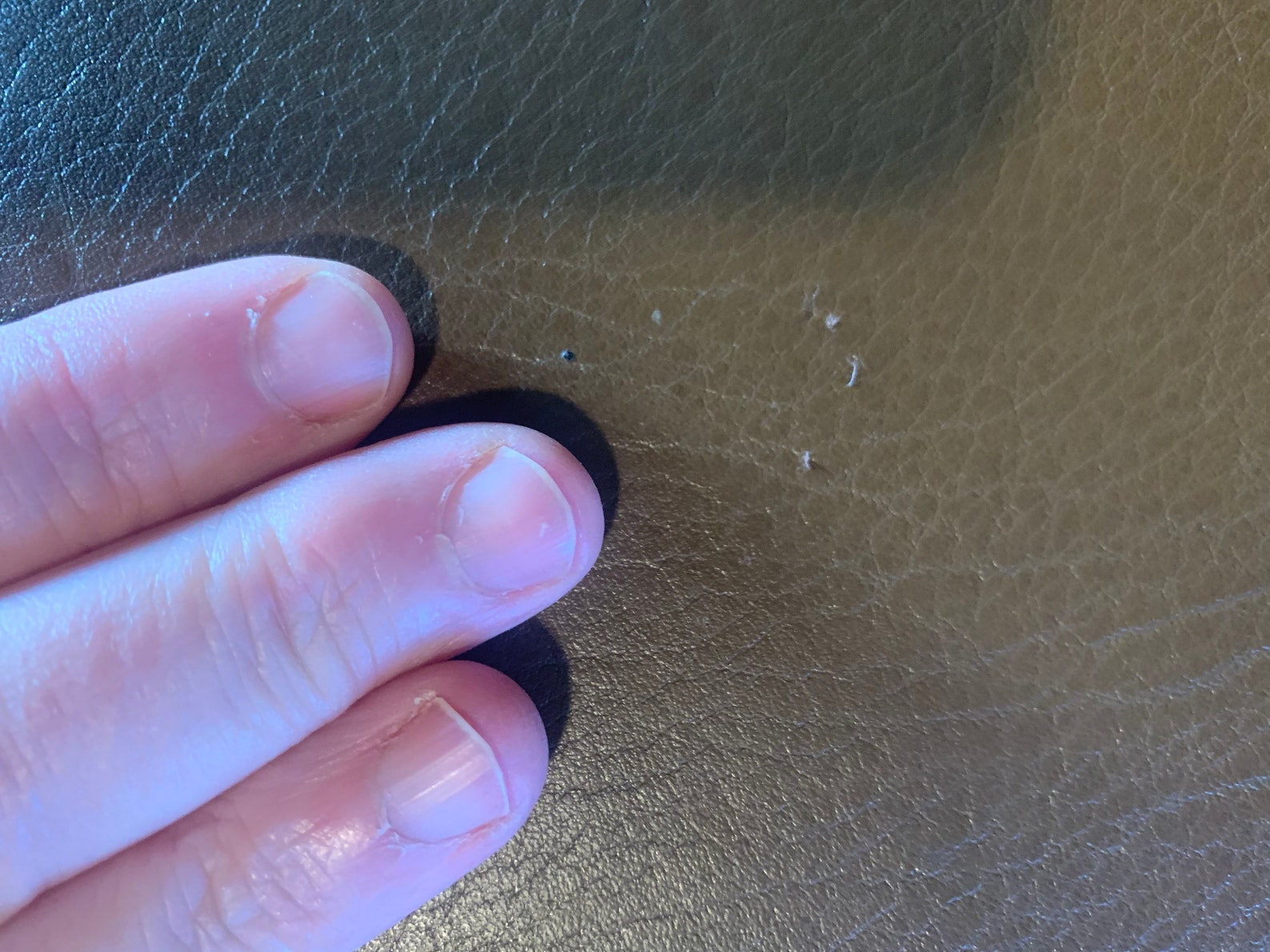 Knoll Jim Eldon Oak and Leather Coffee Table - Etsy