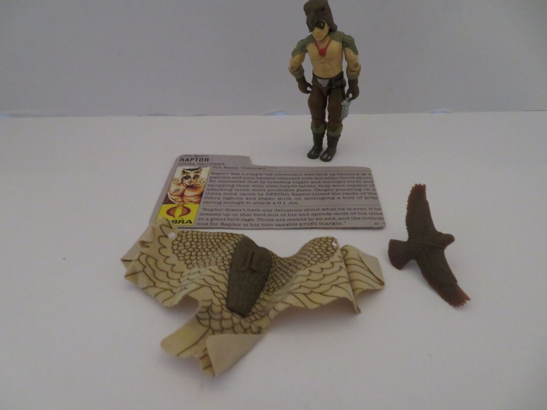 Hasbro GI Joe ARAH Cobra Raptor Falconer Figure Complete W/file Card ...