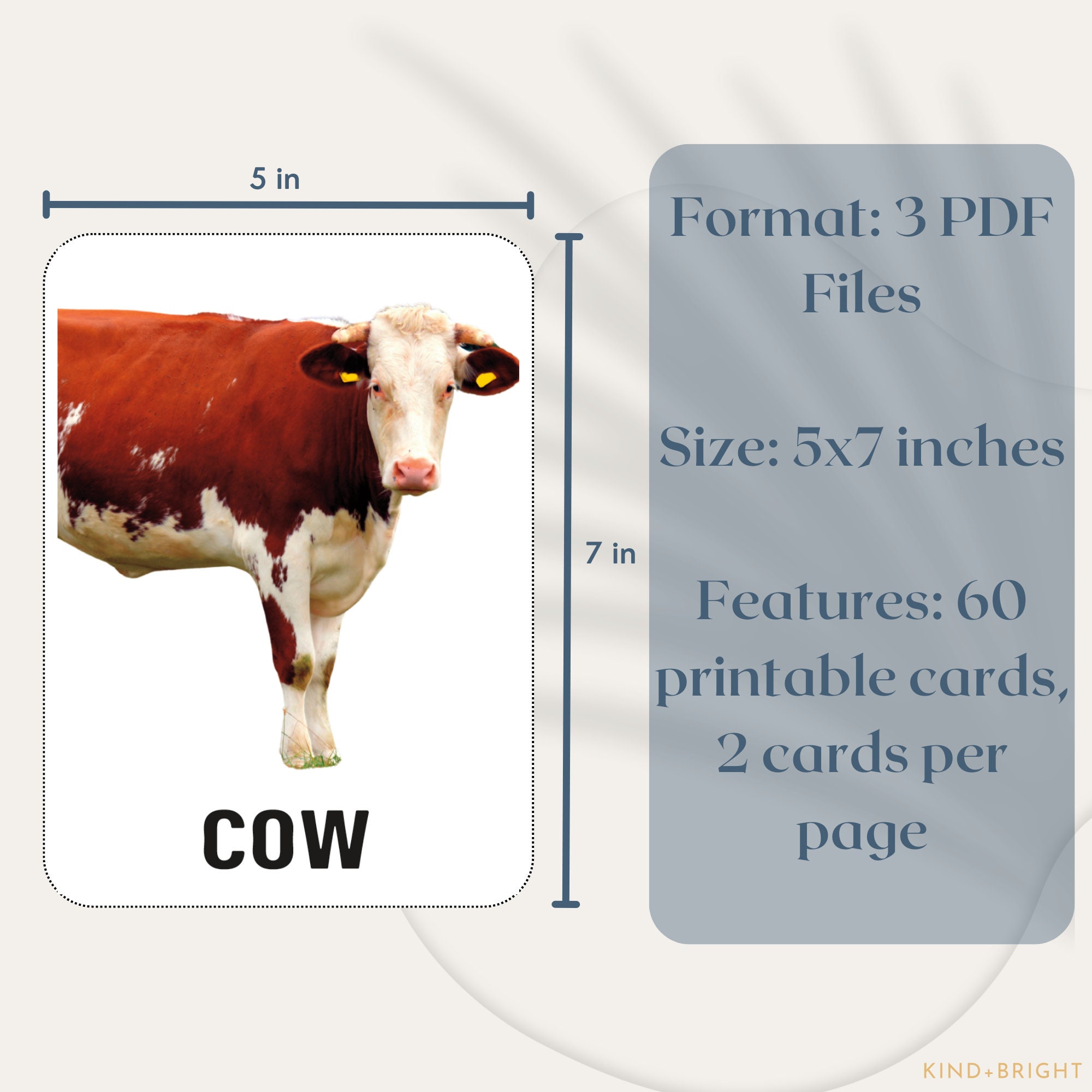 Animal Flashcards Bundle Set of 60 Cards Farm Sea Wildlife 60 Realistic ...