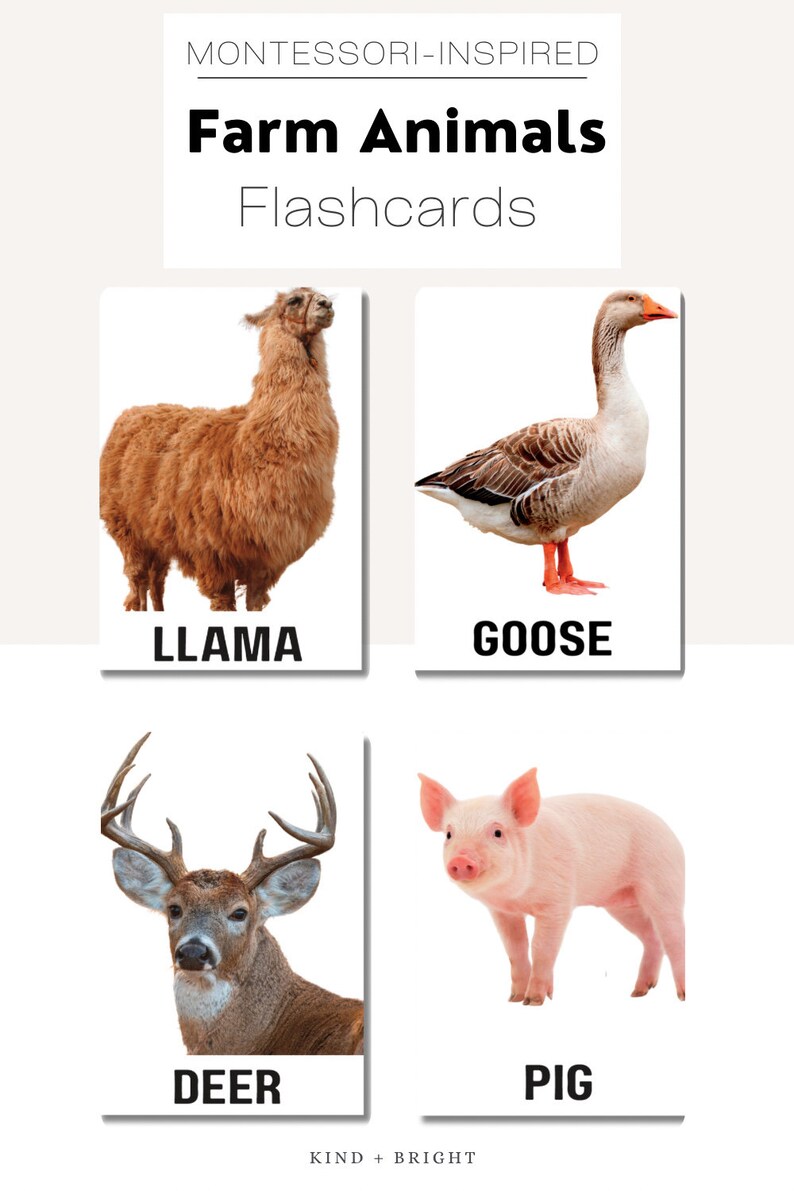Farm Animal Flashcards Toddlers 20 Realistic Animals Educational ...