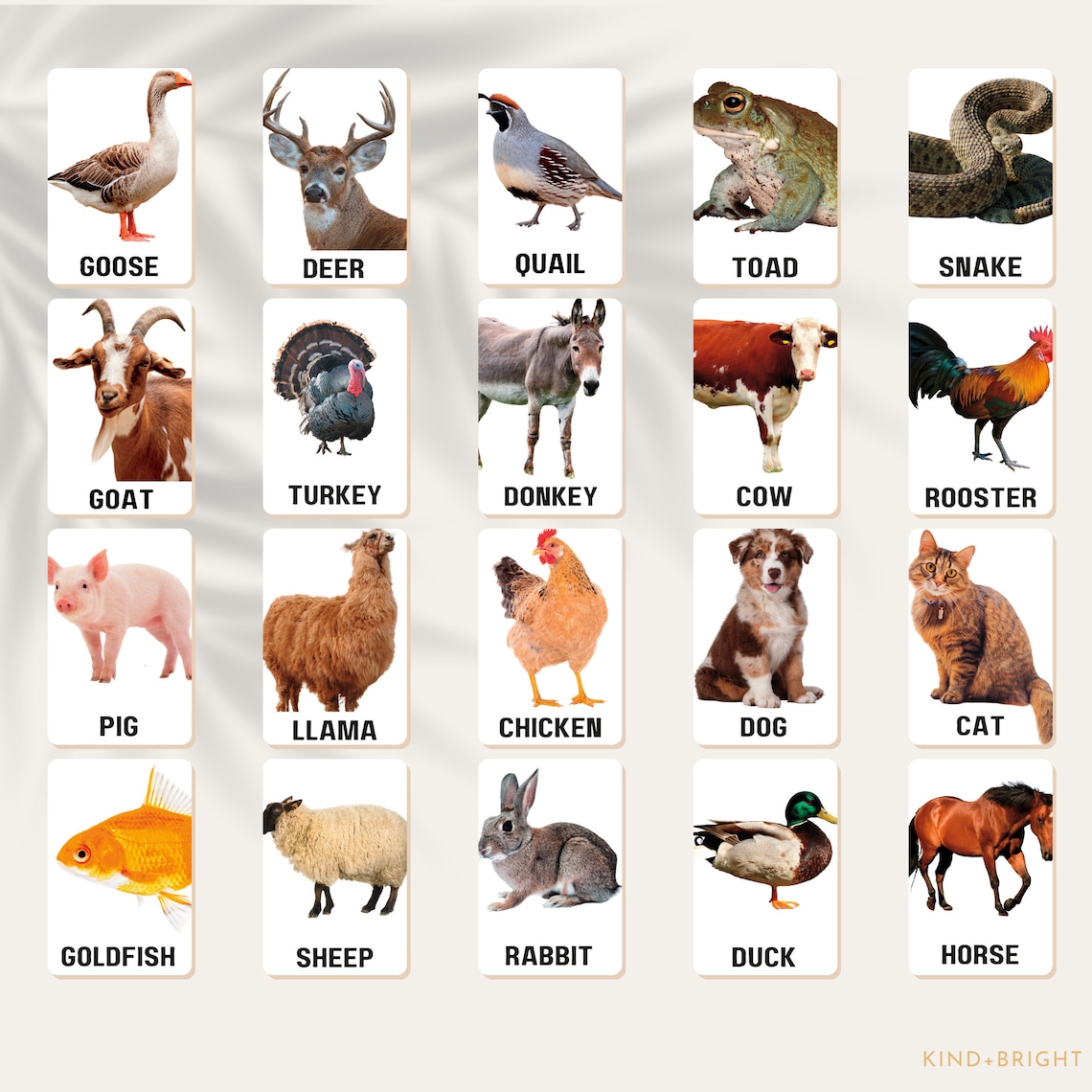 Farm Animal Flashcards Toddlers 20 Realistic Animals Educational ...