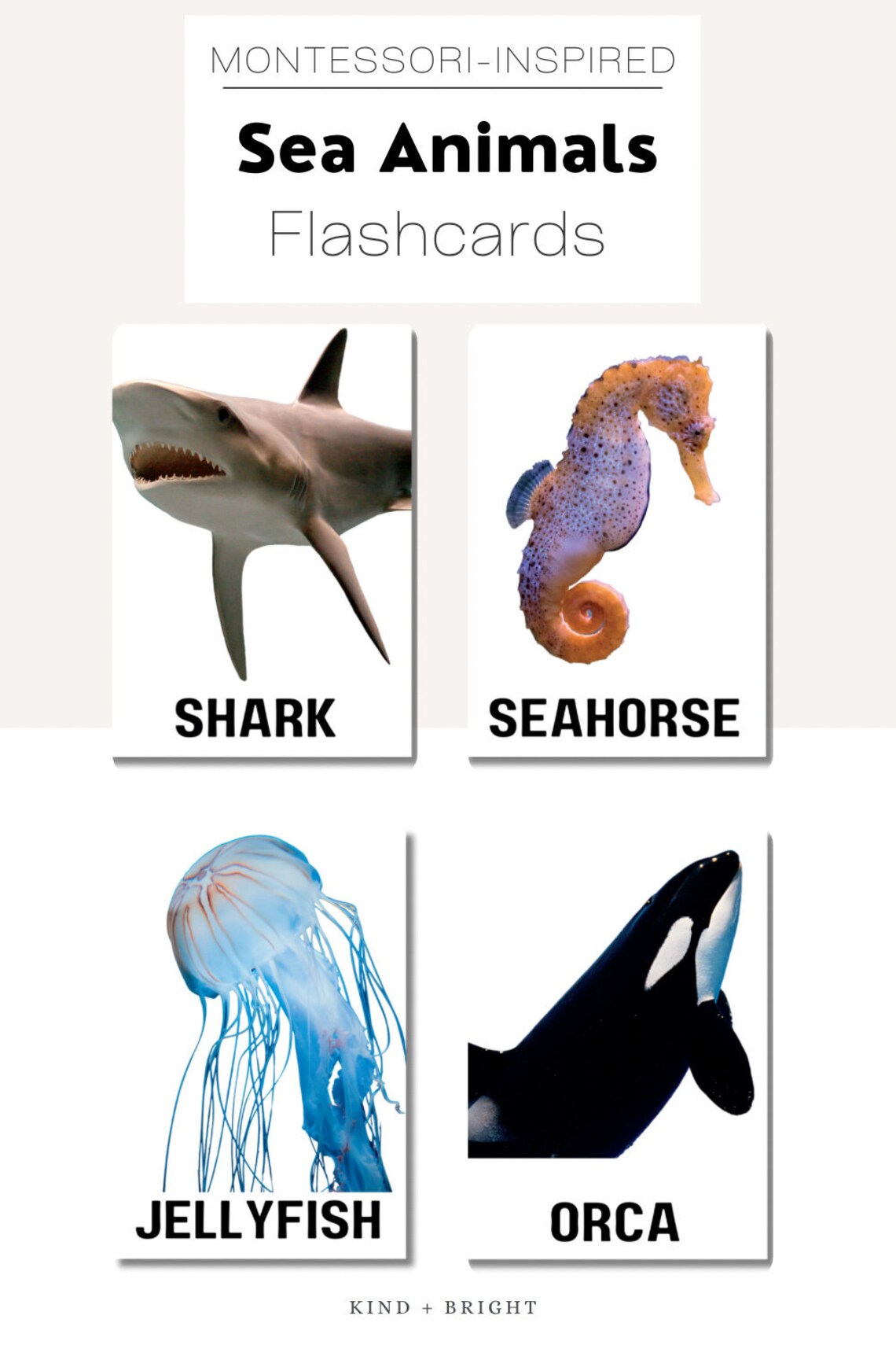 Sea Animal Flashcards Toddlers 20 Realistic Animals Educational ...