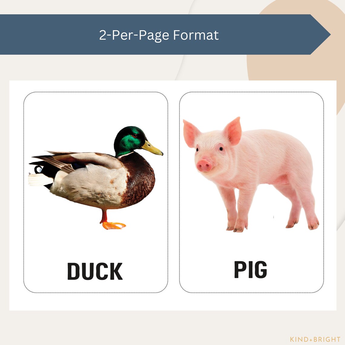 Farm Animal Flashcards Toddlers 20 Realistic Animals Educational ...