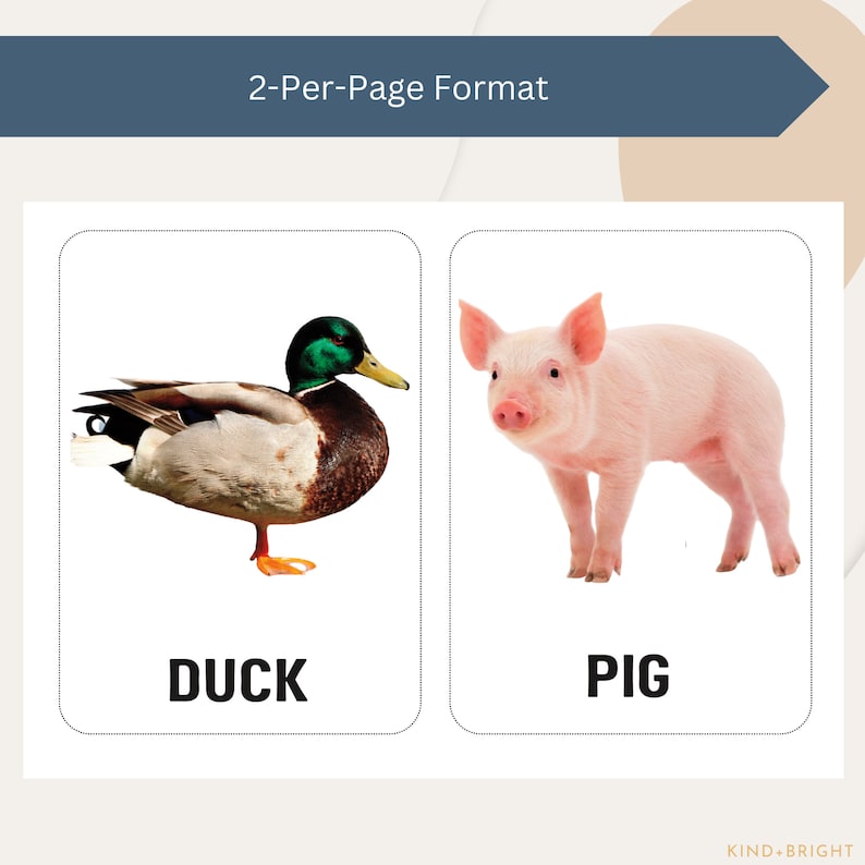 Farm Animal Flashcards Toddlers 20 Realistic Animals Educational ...