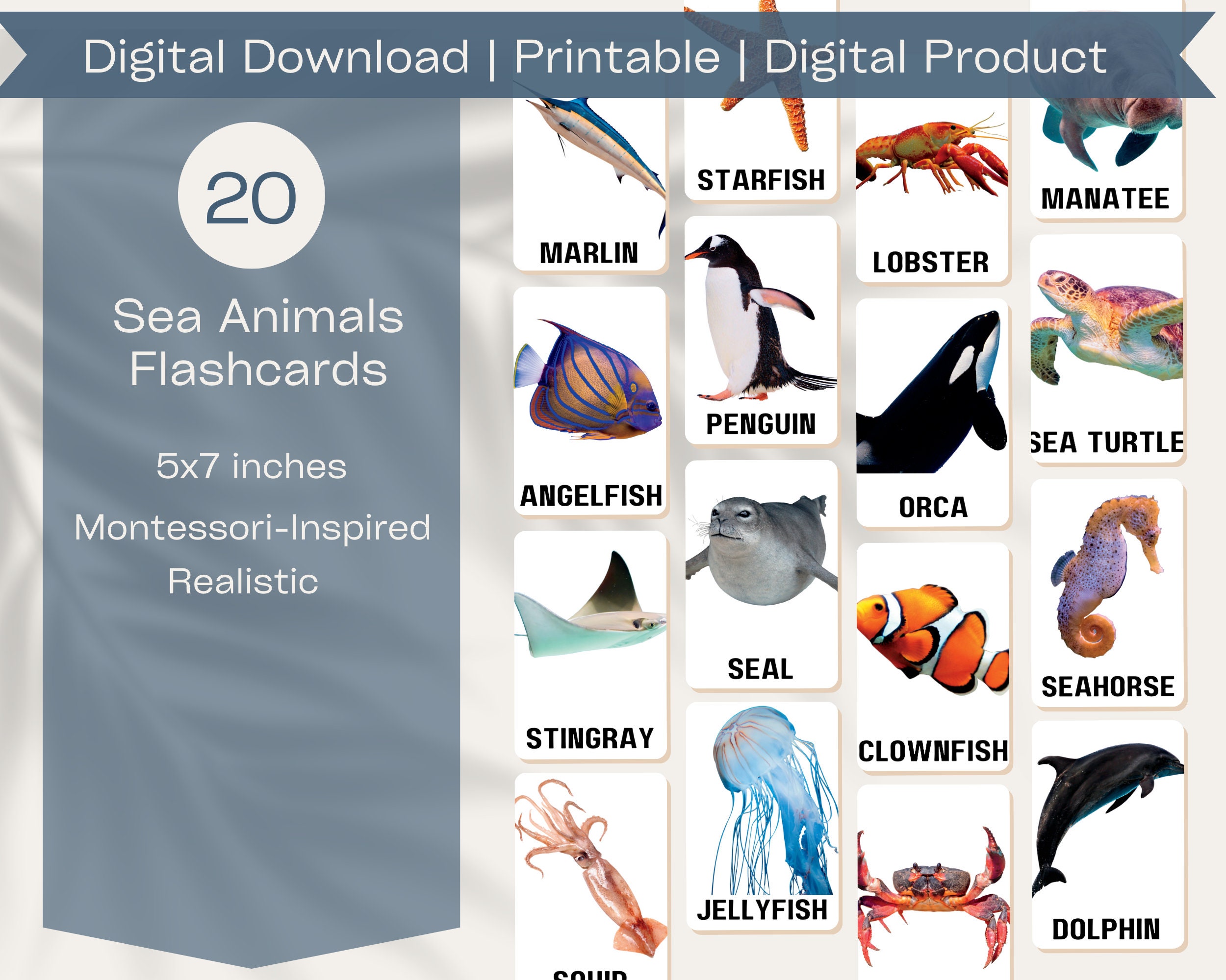 Sea Animal Flashcards Toddlers 20 Realistic Animals Educational ...