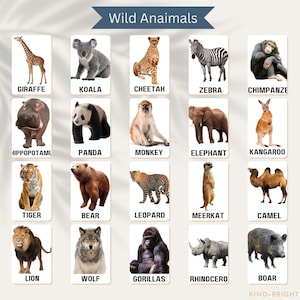Animal Flashcards Bundle Set of 60 Cards Farm Sea Wildlife 60 Realistic ...