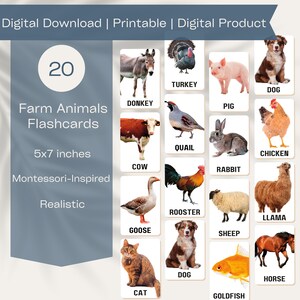 Farm Animal Flashcards Toddlers 20 Realistic Animals Educational ...