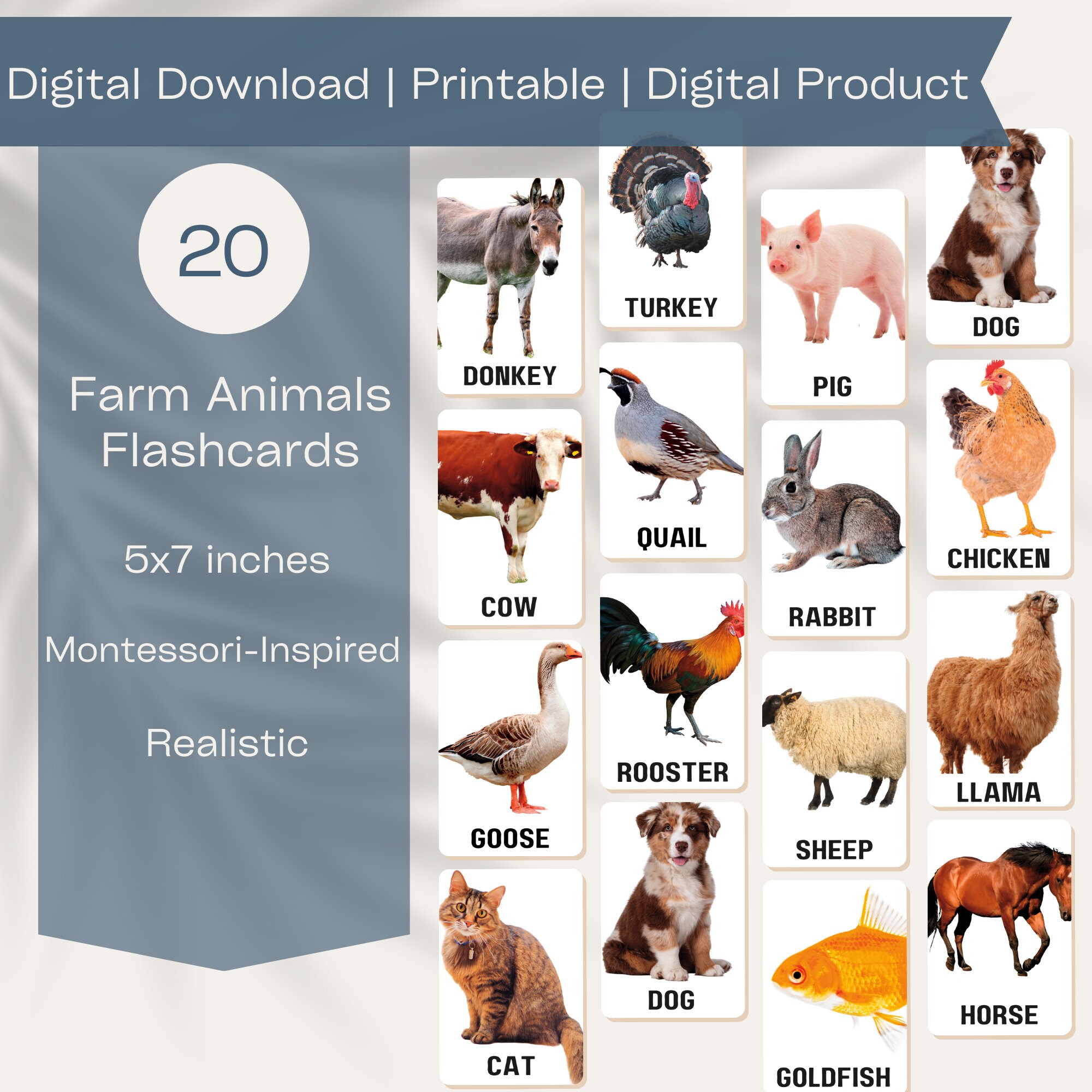 Farm Animal Flashcards Toddlers 20 Realistic Animals Educational ...