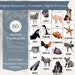 Animal Flashcards Bundle Set of 60 Cards Farm Sea Wildlife 60 - Etsy