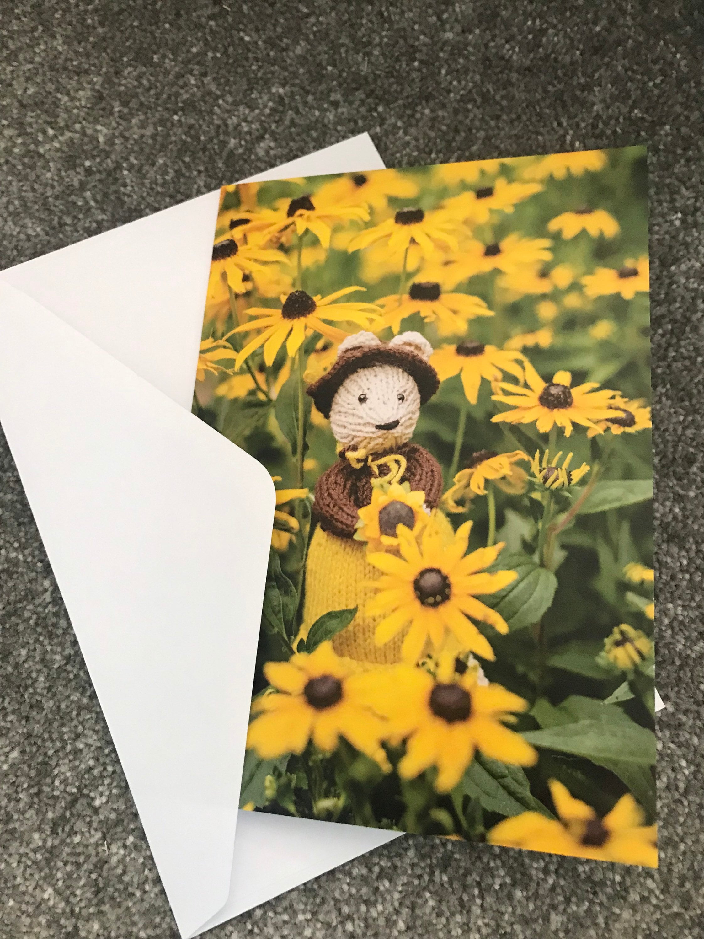 Set of 5 Greetings Cards A5 Size blank Inside for Your Message - Etsy