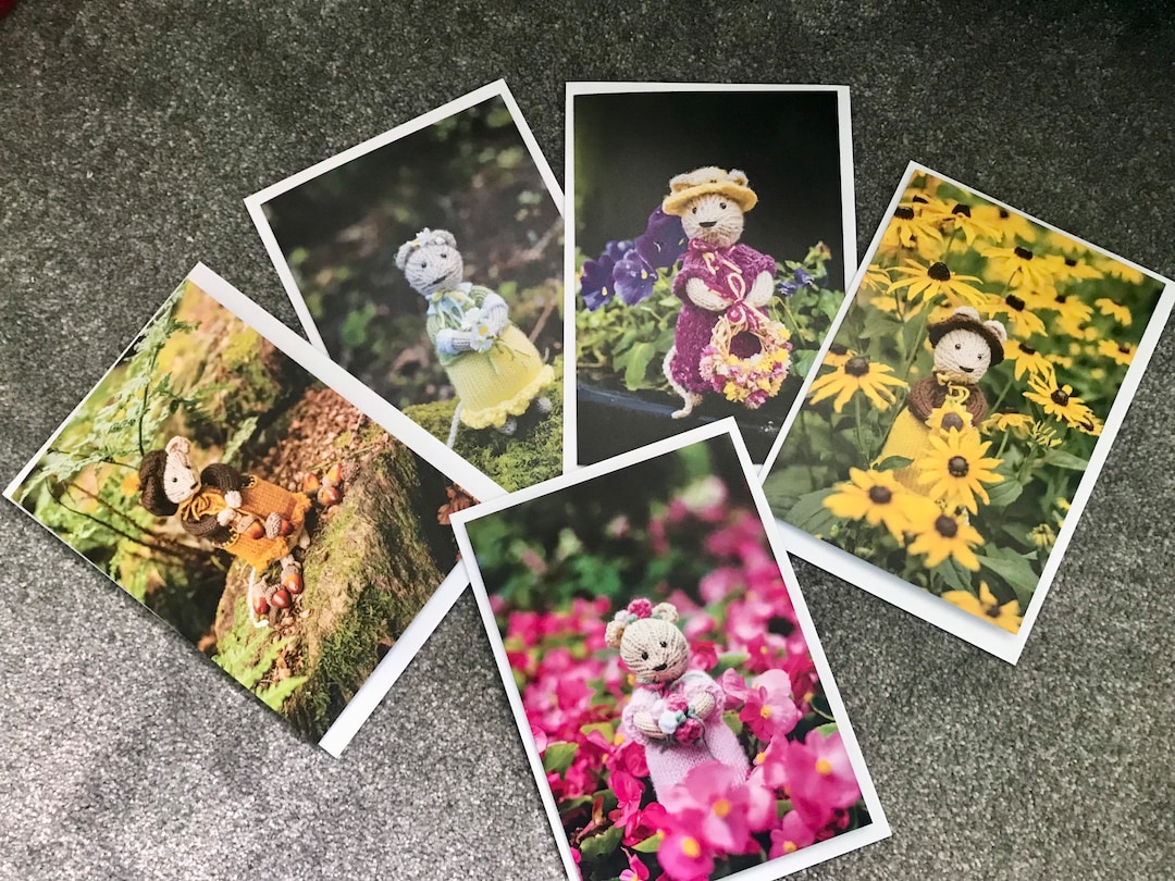 Set of 5 Greetings Cards A5 Size blank Inside for Your Message - Etsy