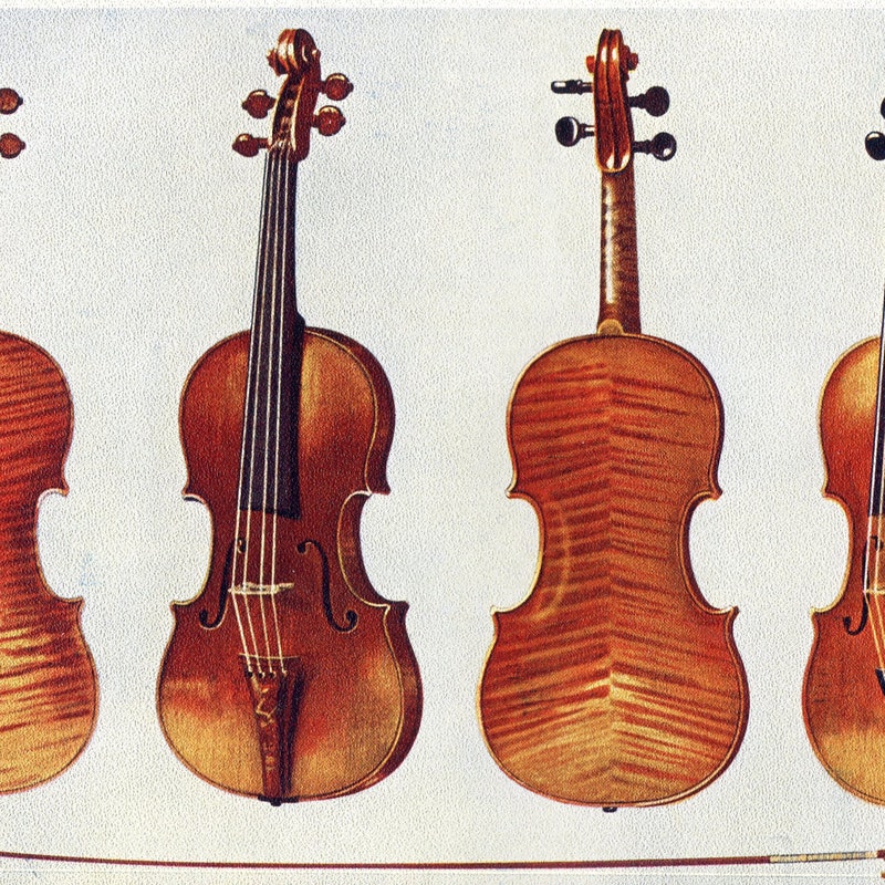 Antique Violin - Etsy