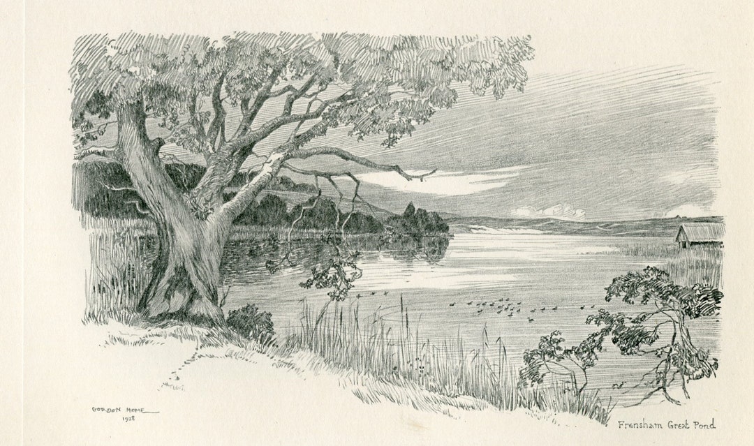 Gordon Home Etching of Frensham Pond 1929 Vintage Print Surrey - Etsy