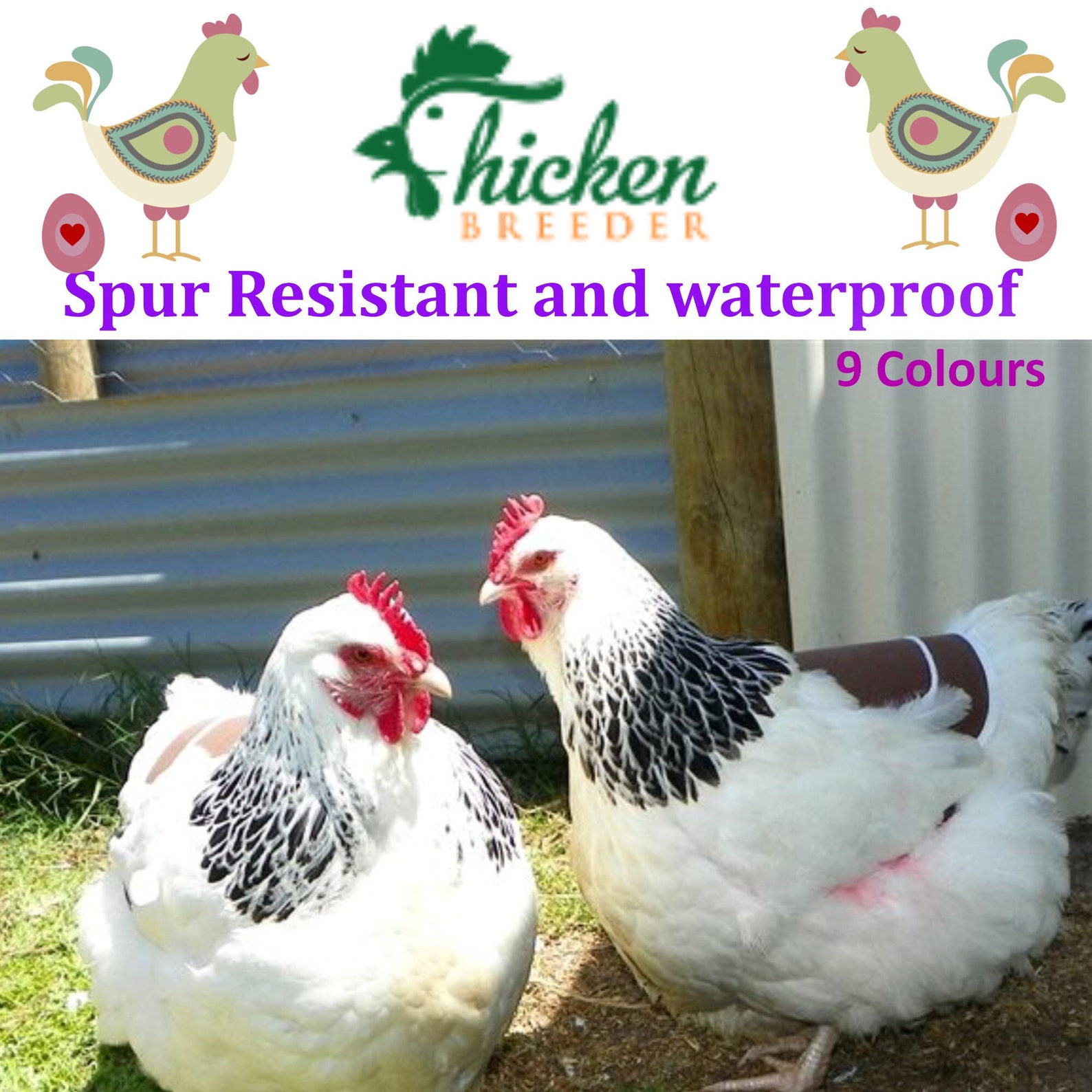 Chicken Saddle Chicken Apron Hen Protector Waterproof - Etsy UK