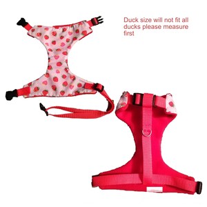 Chicken Harness Hen Harness Duck Harness Harnesses for Chickens ...
