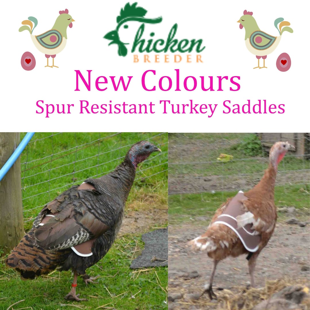 Turkey Saddle, Chicken Saddle, Stag Protector, Turkey Apron, Turkey ...