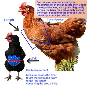 Chicken Bra, Crop Support, Pendulous Crop Support, Crop Bra, Hen Bra ...