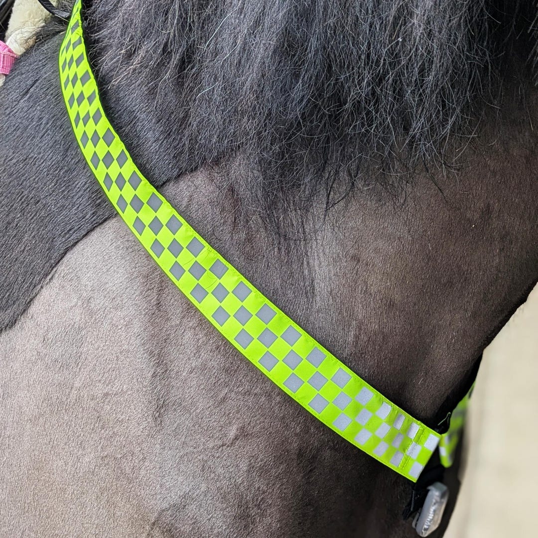 Equi Hi Viz Horse Reflective Chest Strap / Breastplate With Optional ...