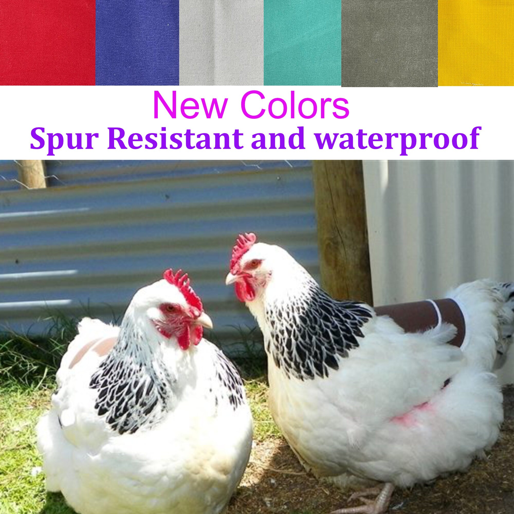 Chicken Saddle Chicken apron Hen protector Waterproof | Etsy