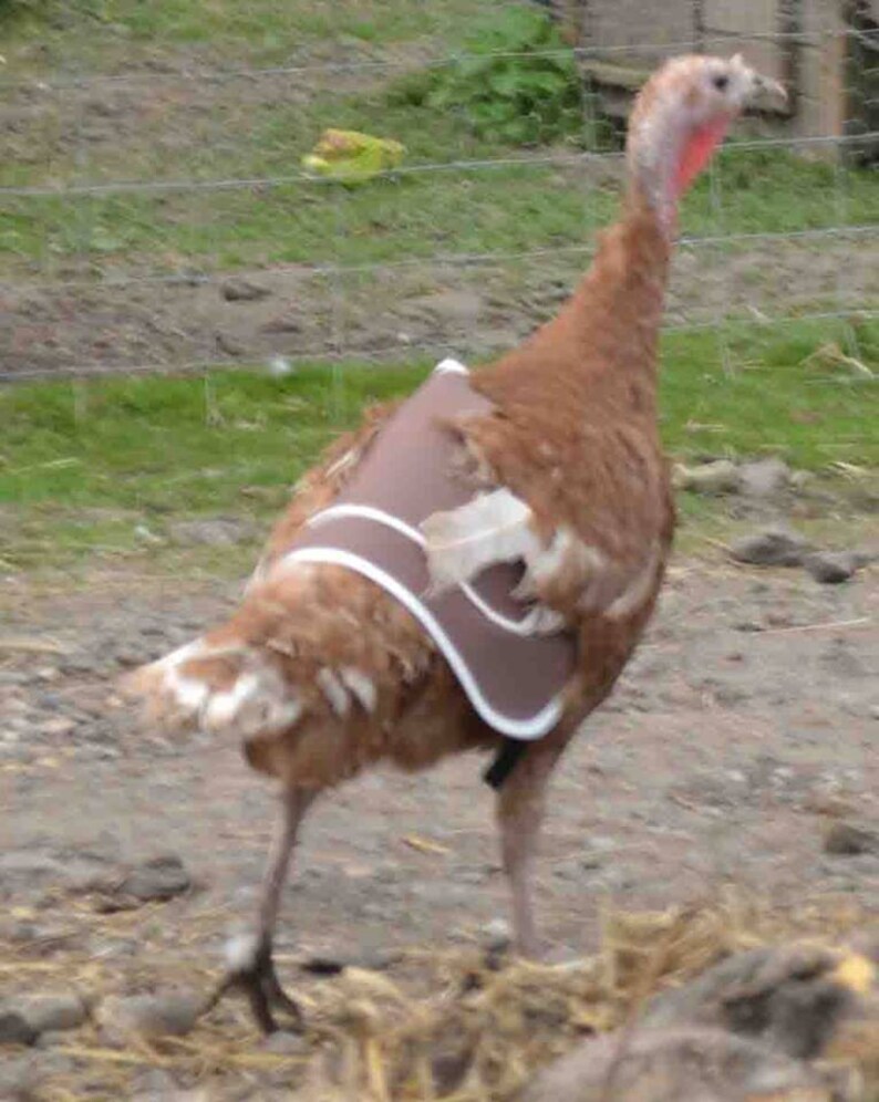 Turkey Saddle Stag Protector Turkey Apron Turkey Protector | Etsy