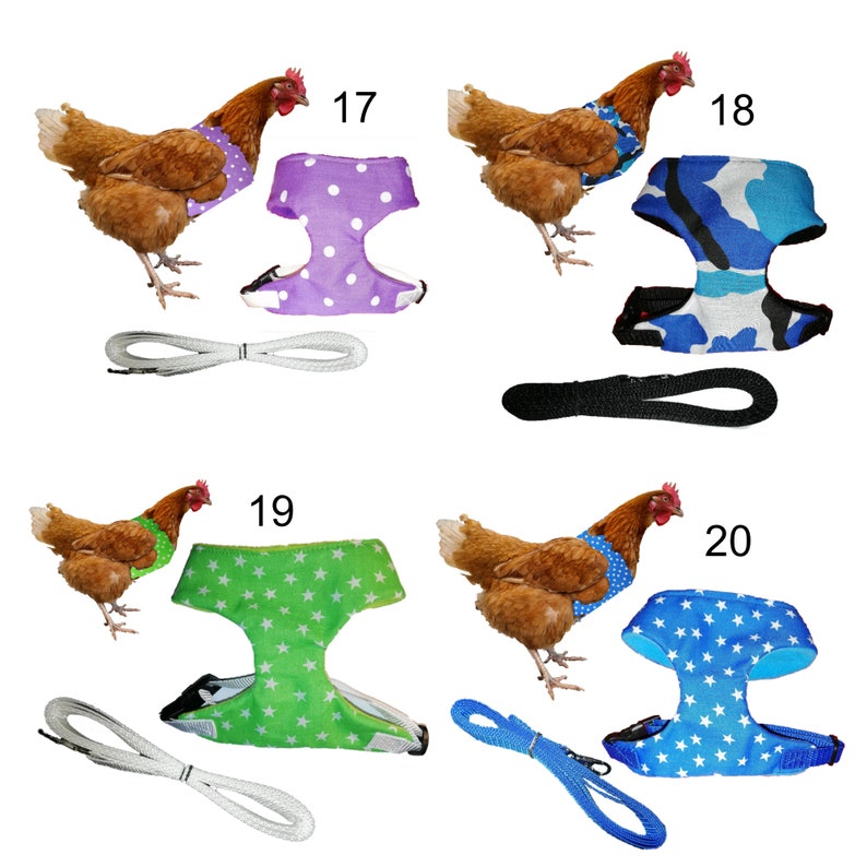 Chicken Harness Hen Harness Duck Harness Harnesses for | Etsy UK