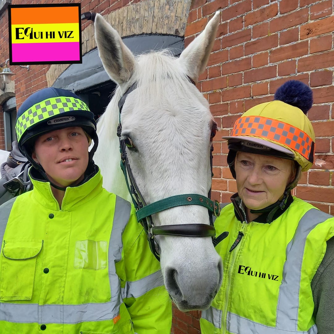 Equi Hi Viz Reflective Hat Band Reversable Fluorescent Elasticated ...