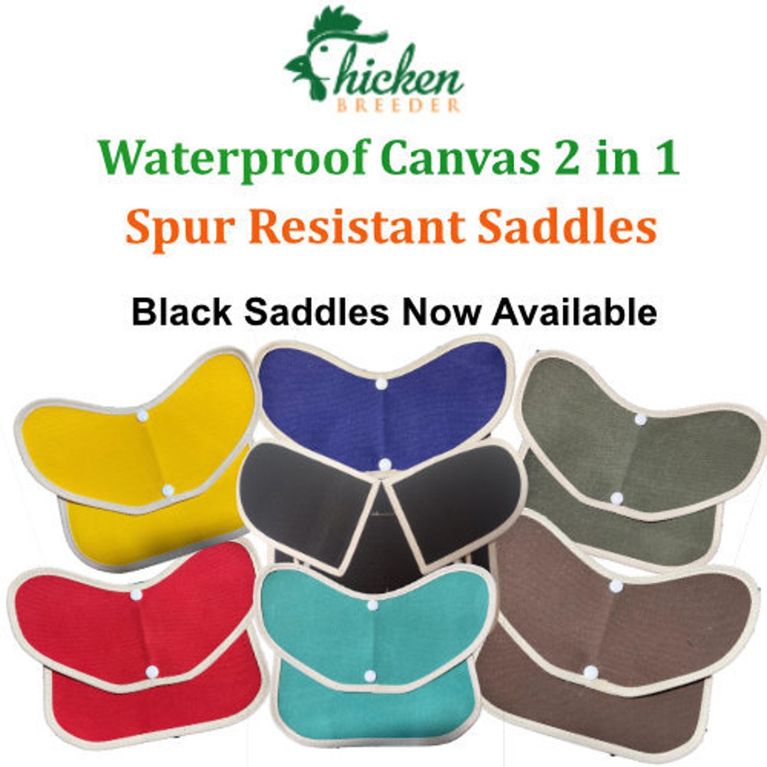 Chicken Saddle, Chicken Apron, Hen Protector, POULET WING PROTECTION ...