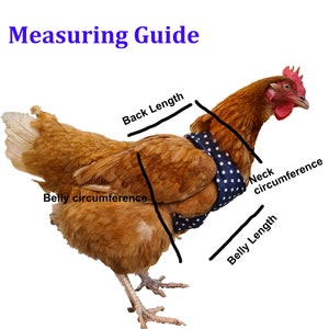 Chicken Harness Hen Harness Duck Harness Harnesses for Chickens ...