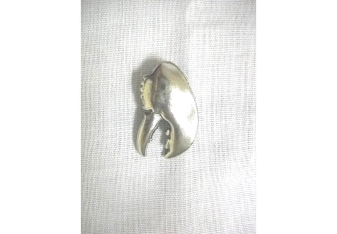 New Front Pincher Claw LOBSTER Crustacean Dive Fishing Seaside Surf ...