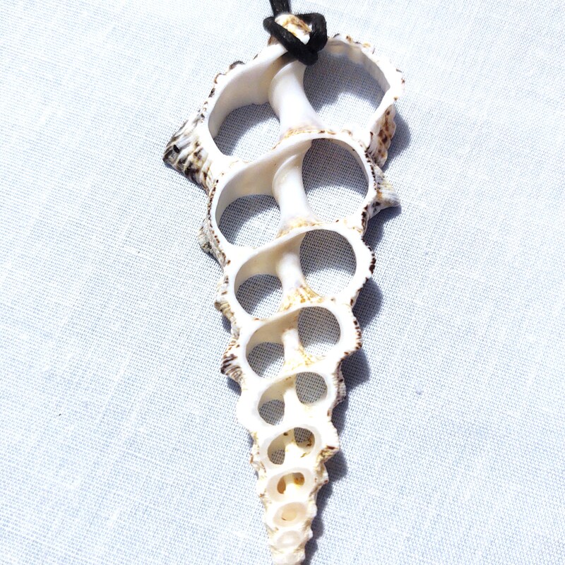 Cut Shell Necklace - Etsy