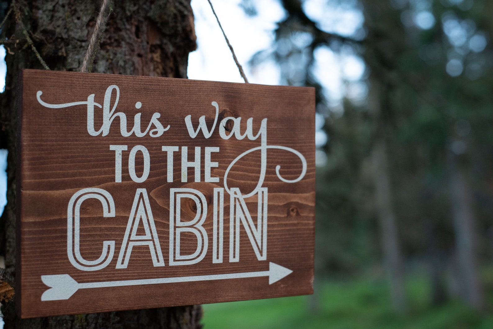 Cabin Decor This Way to the Cabin Sign Lake House | Etsy