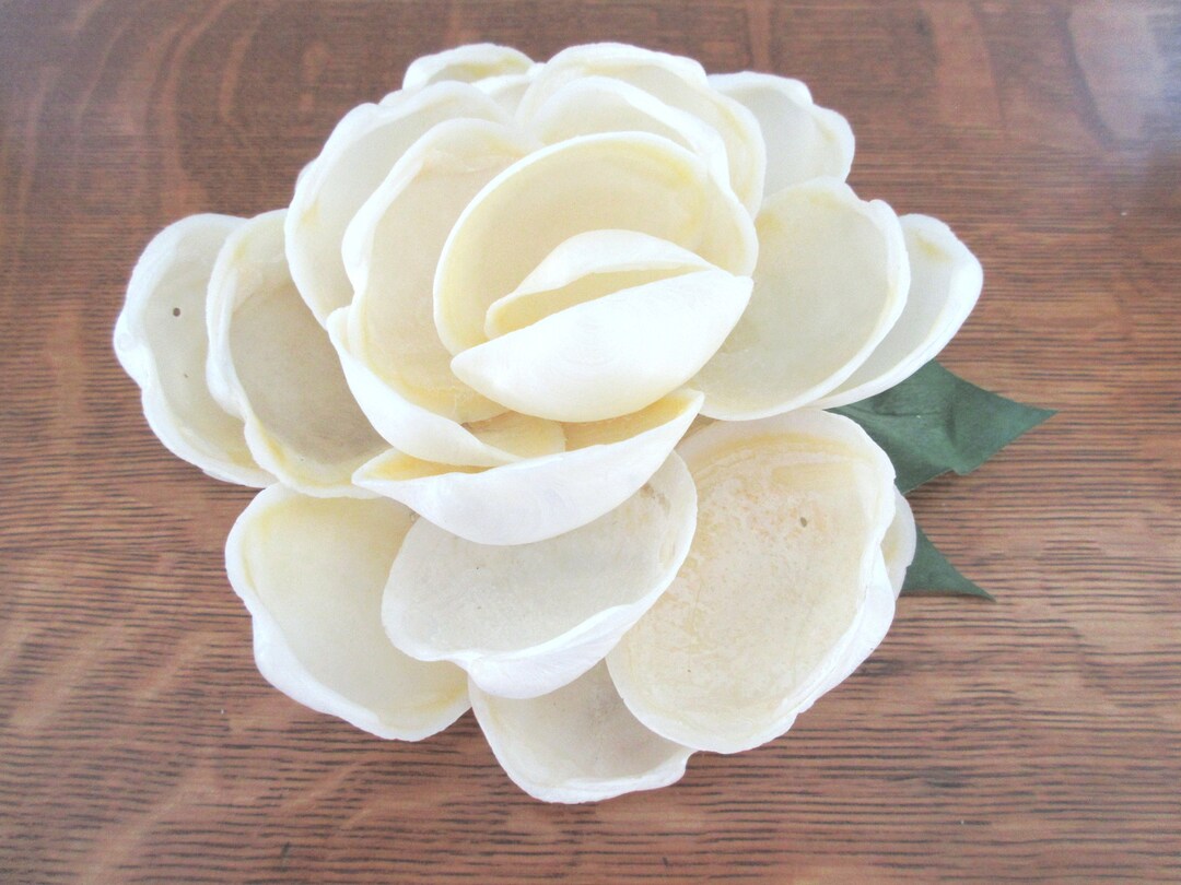 Vintage and Handmade Clam Shell Magnolia Shell Flower Shell Decor Coast ...