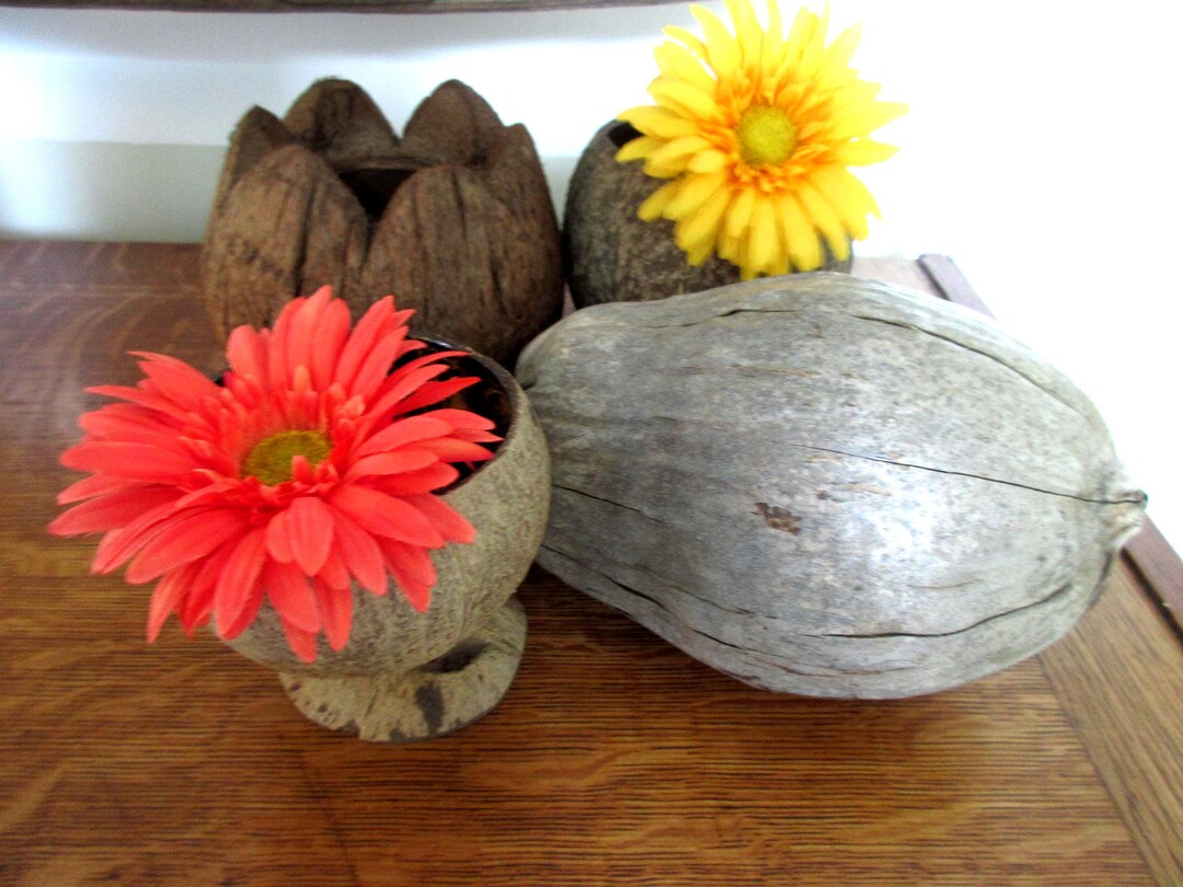 Vintage Coconut Collection Four Pieces Key West Tropical Sunporch Decor ...