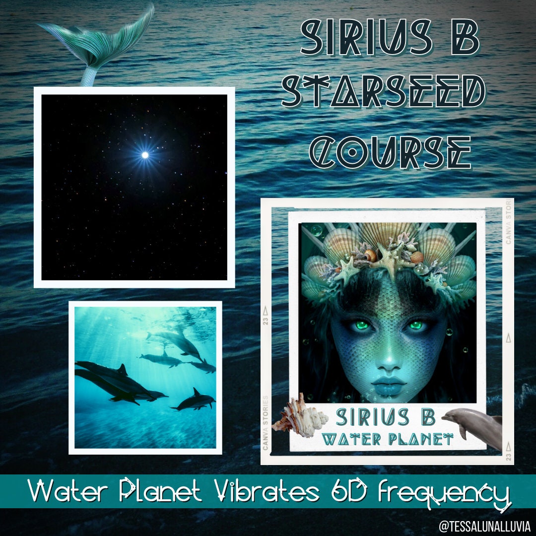 Are You From Sirius B? Sirius B Starseed Course 3 Step Program With ...