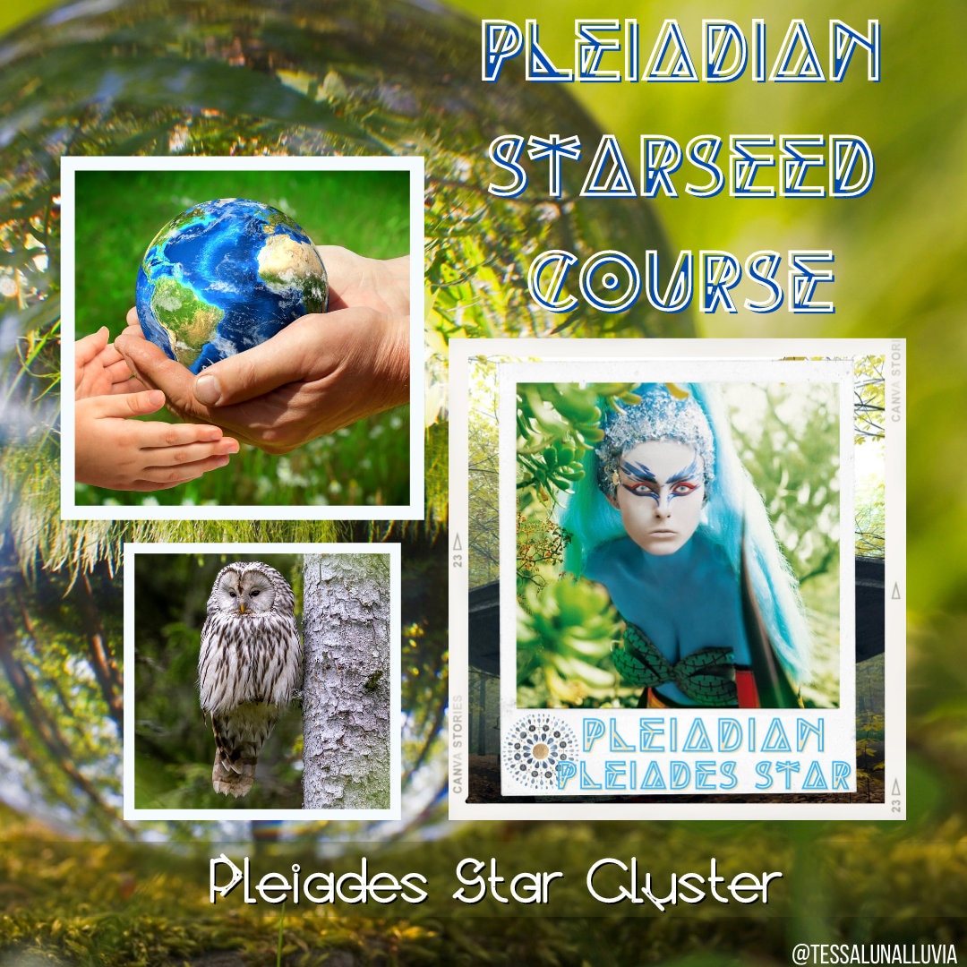 Are You a Pleiadian Pleiadian Starseed Course 3 Step Program With Certificate Done via Email ...
