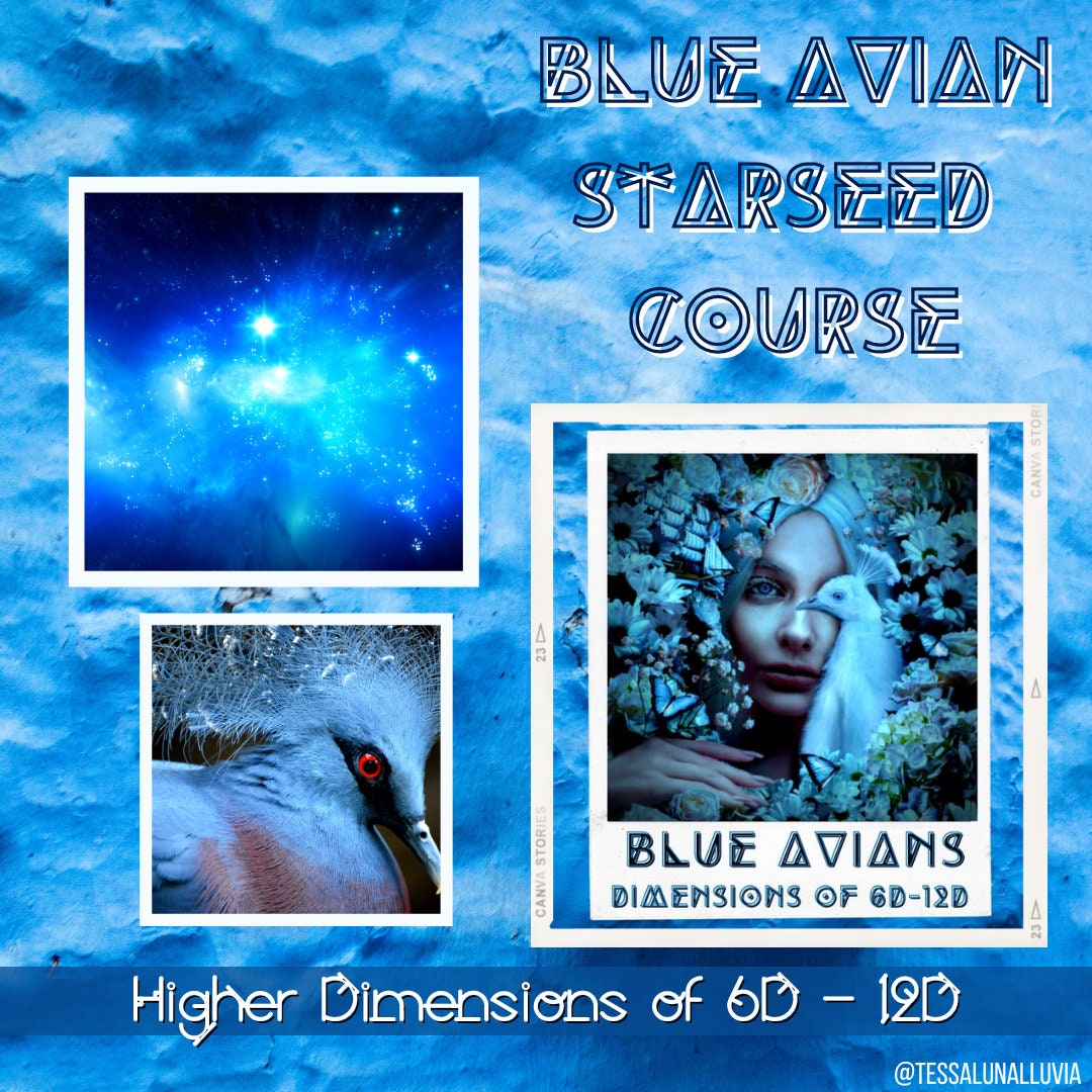 Are You a Blue Avian Starseed? Blue Avian Starseed Course 3 Step ...