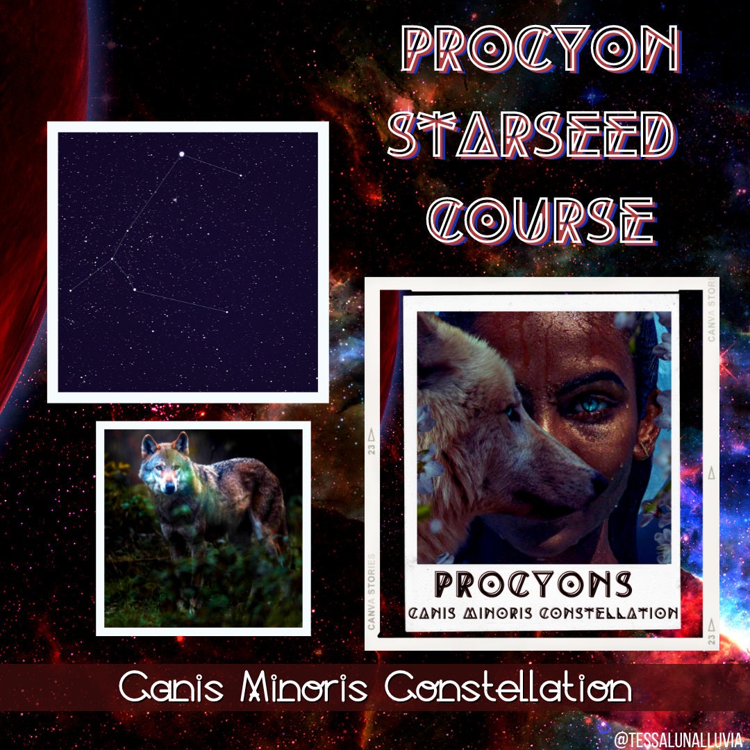 Are You a Procyon Starseed Procyon Starseed Course 3 Step Program With ...